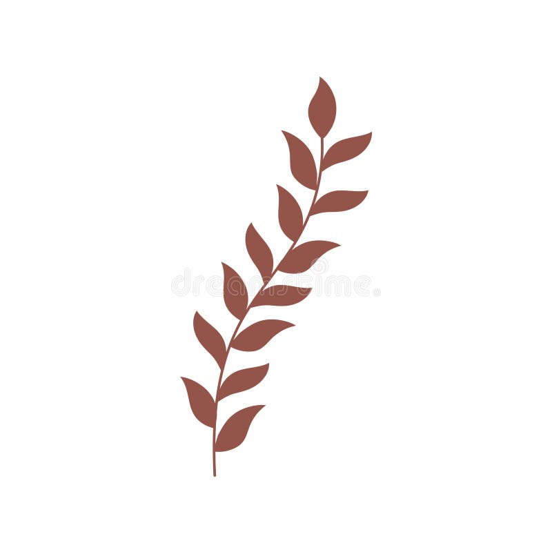 Branch leaves nature stock vector. Illustration of decorative - 231502473