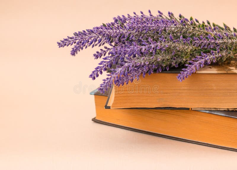 A Branch of Lilac Lies on a Stack of Books on a Light Background. Side ...