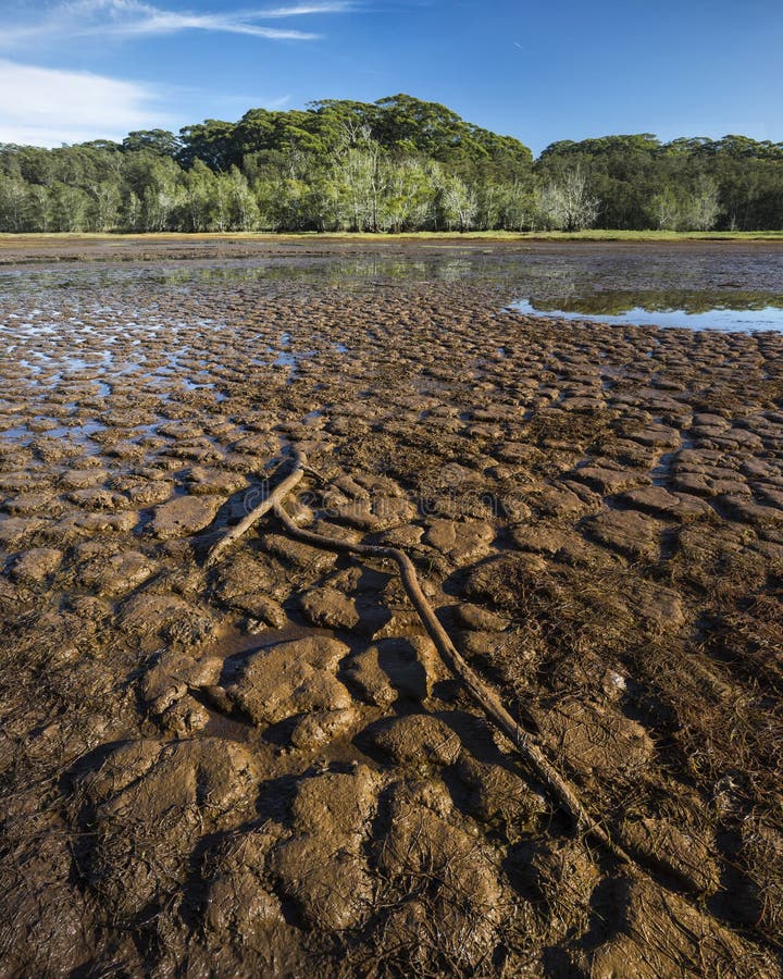 375 Marsh Patterns Stock Photos - Free & Royalty-Free Stock Photos from ...