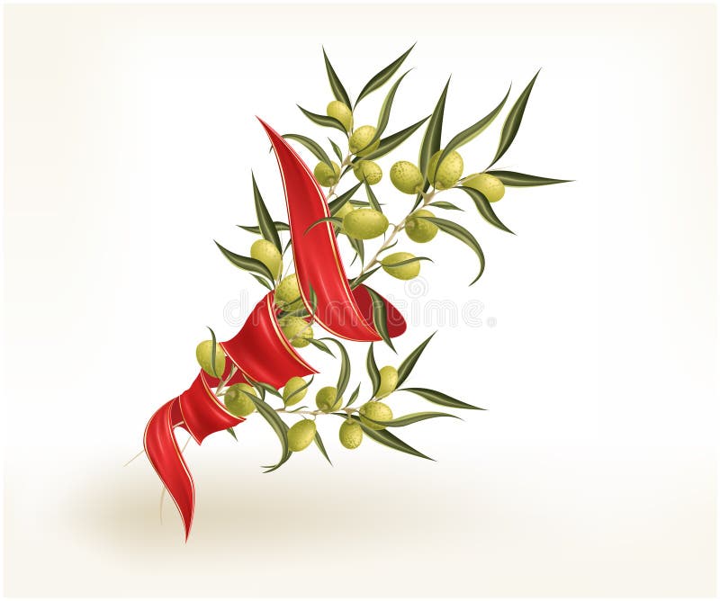 Branch of Olive with a Red Ribbon Stock Vector - Illustration of beauty ...