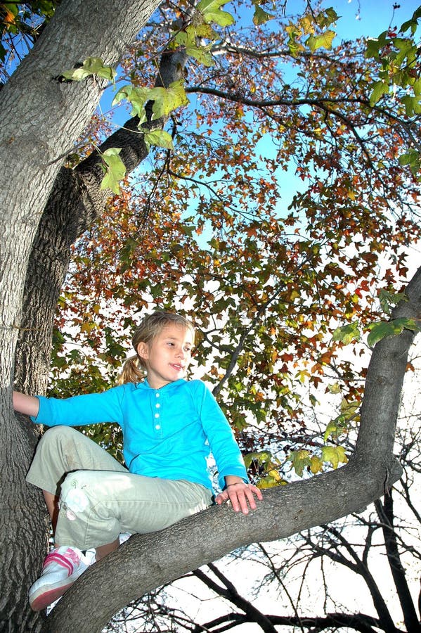 Branch Out stock image. Image of caring, children, grass - 1631057