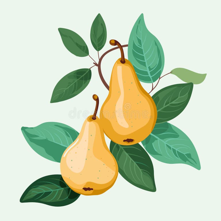 Branch of Pear Tree. Flat Vector Illustration Stock Vector ...