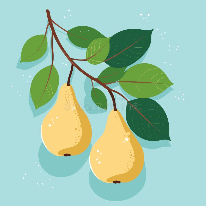Branch of Pear Tree. Flat Vector Illustration Stock Vector ...