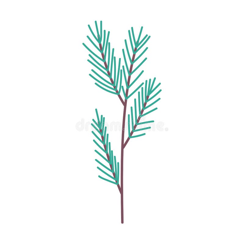 Pine Leaves Stock Illustrations – 30,996 Pine Leaves Stock ...