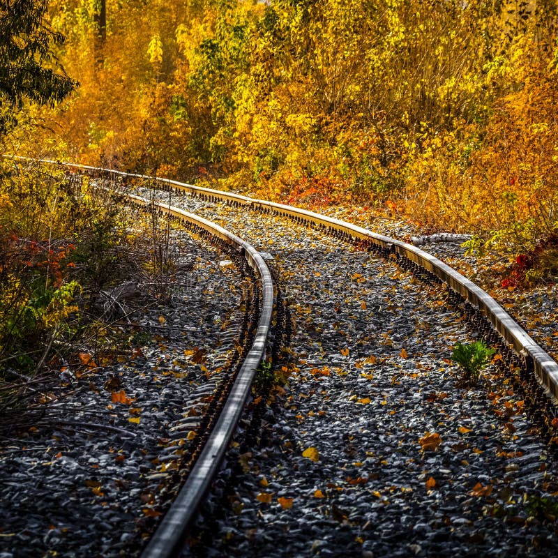 Branch of railway tracks stock photo. Image of railway - 265657256