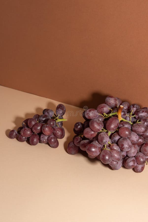 Branch of Red Grapes with Shadow on the Wall on Beige Background. Wine ...