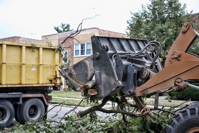 Branch Removal Outdoors stock image. Image of ecology - 64286121