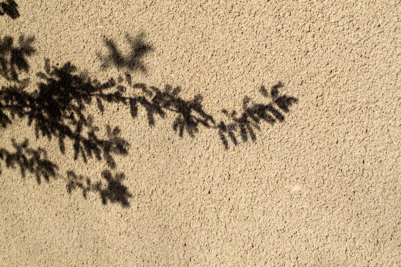 Shadow Of A Branch With Leaves On The Background Of A Brick Old Wall ... Shadow Of A Branch With Leaves On The Background Of A Brick Old Wall ...