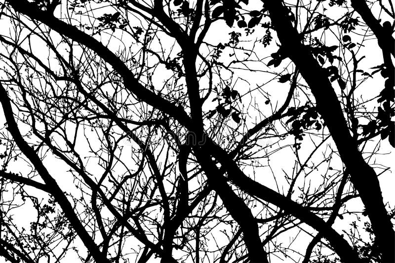 Branch Shape with Black Color. Stock Vector - Illustration of shape ...