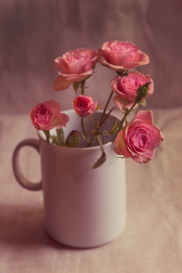 Branch of Small Vintage Red Roses Stock Photo - Image of view, vertical ...
