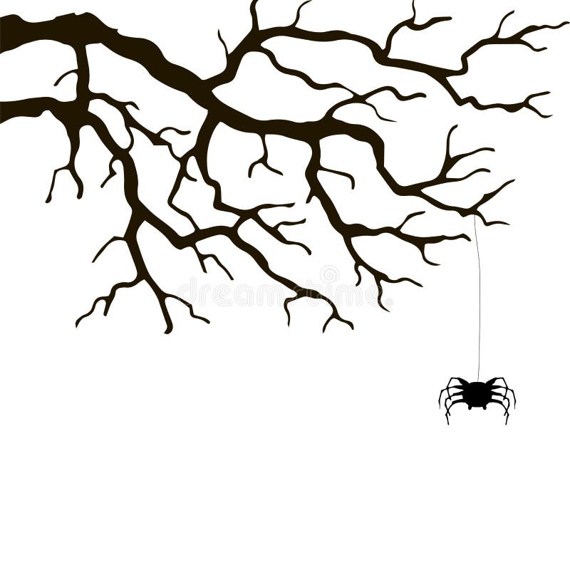 Branch and spider stock vector. Illustration of design - 60522489
