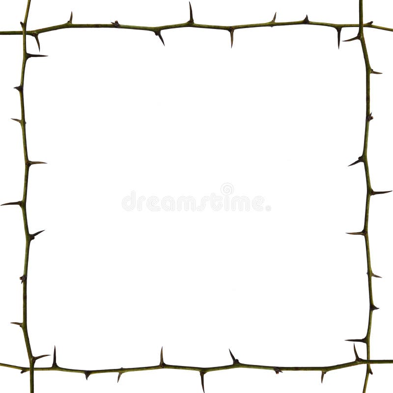 Branch with spines frame stock illustration. Illustration of frame ...