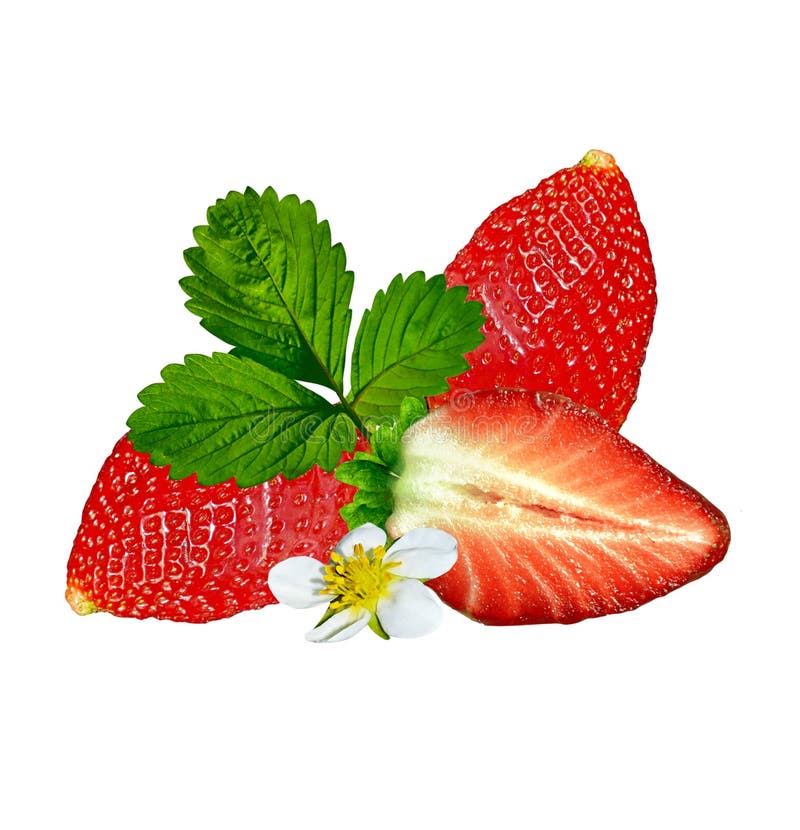 Branch of Strawberries Isolated on White Background Stock Photo - Image ...
