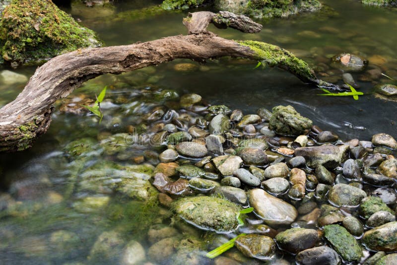 Alejandra Gastaldi (Morpheusalpha) - Photos