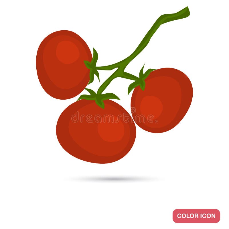 Branch of Tomatoes Color Icon for Web and Mobile Design Stock Vector ...