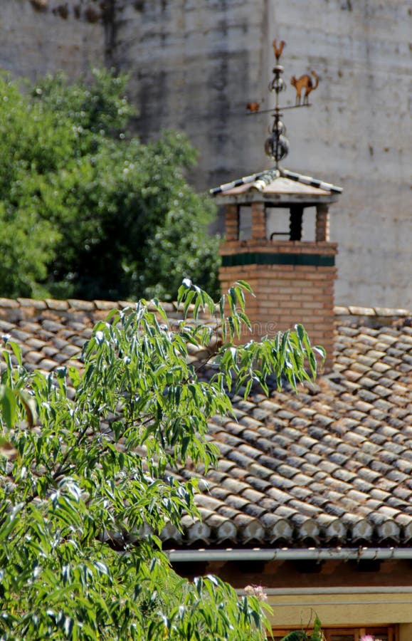Branch of a Tree with Old Brick Chimney on a Roof in the Backg Stock ...