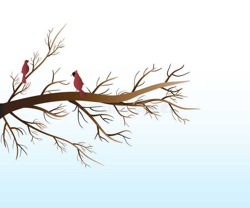 Cardinal Bird on Branch Tree Template Stock Vector - Illustration of ...