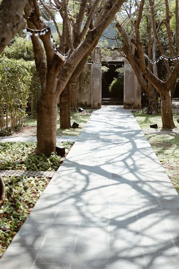 Branch Tree Shadow on Walkway Pathway in Garden Stock Image - Image of ...