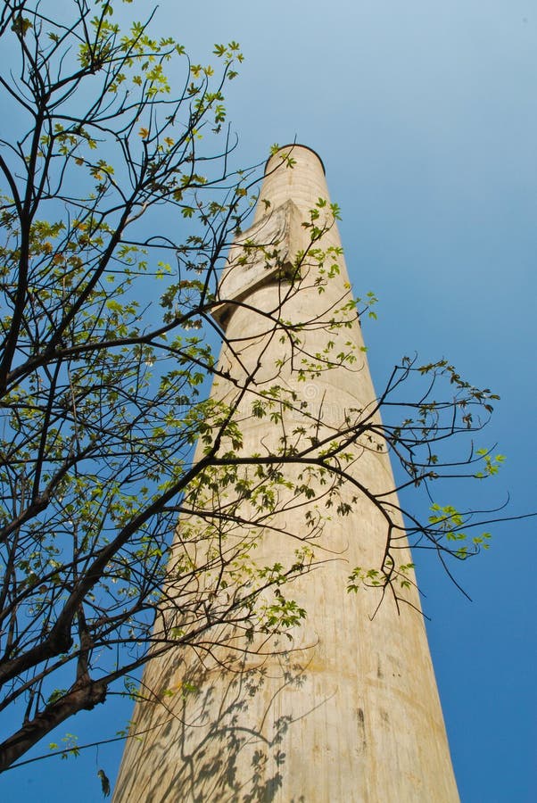 Branch of tree among stack stock image. Image of chimney - 55680761
