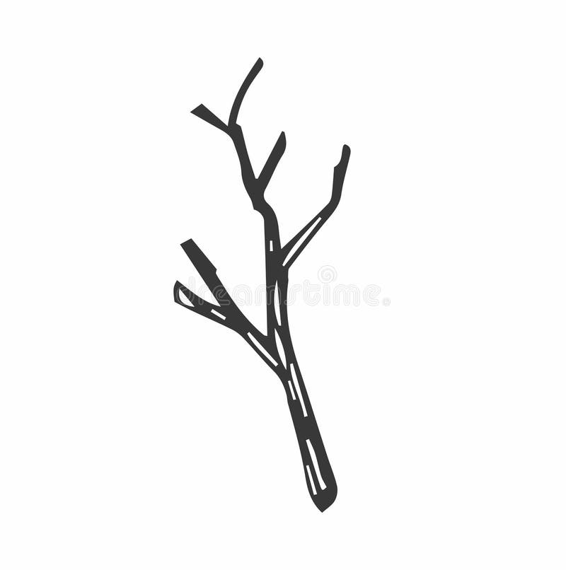 Branch of a Tree. Vector Illustration of Twig. Hand Drawn Old Tree ...