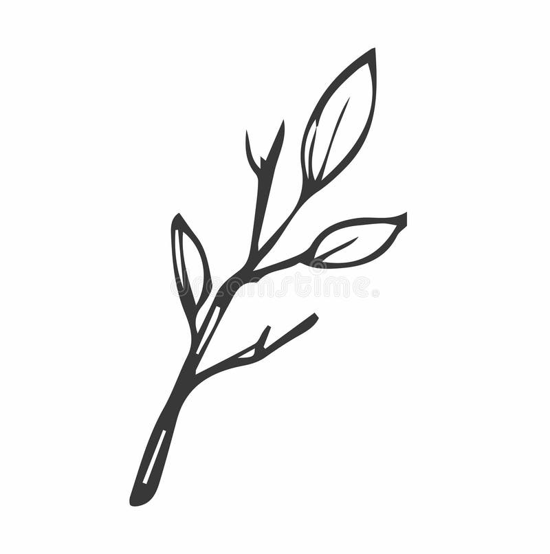 Branch of a Tree. Vector Illustration of Twig. Hand Drawn Old Tree ...