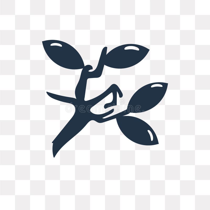 Branch Vector Icon Isolated on Transparent Background, Branch T Stock ...