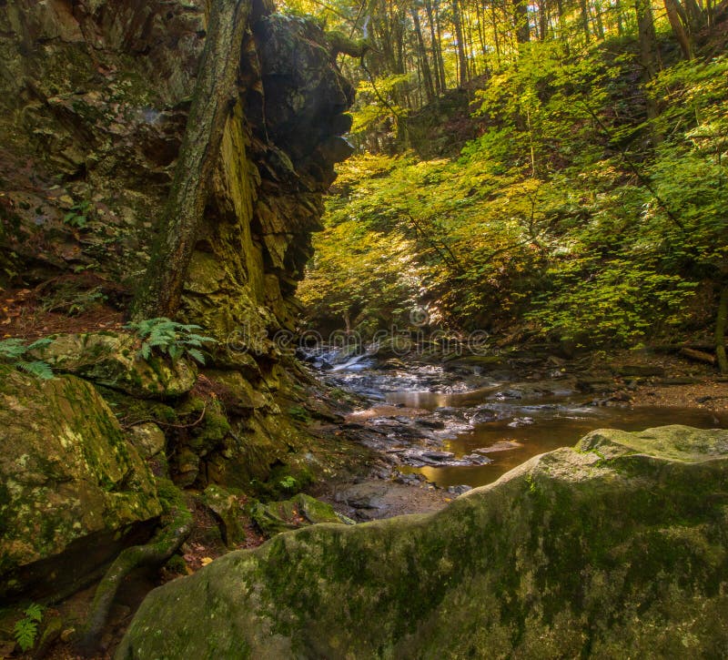 Small Stream Flowing by Rocks and Trees Stock Image - Image of ...