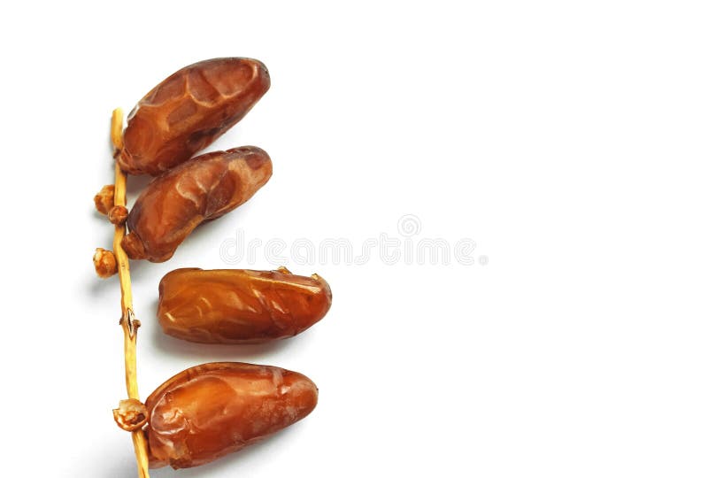 Dattes photo stock. Image du vivacité, fruits, normal - 20489938