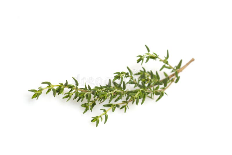 173,467 Photos de Thym - Photos de stock gratuites et libres de droits ...