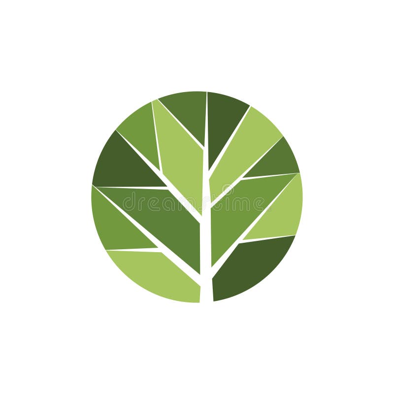 Branches Abstract Leaf Logo Vector Element. Branches Logo Template ...