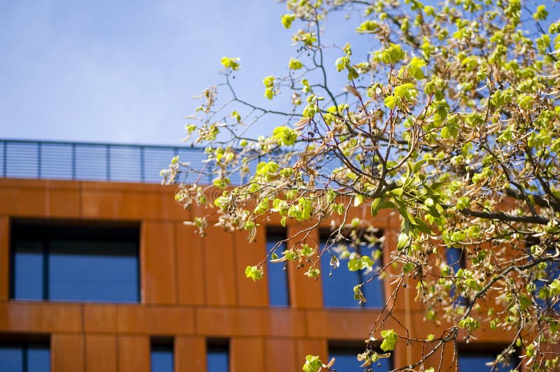 Branches Against Modern Corten Building Stock Photo - Image of locked ...