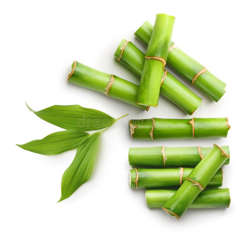 Branches of Bamboo Isolated Stock Image - Image of color, wall: 130543231