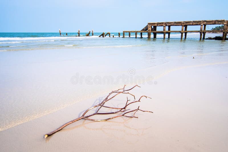The Branches on the Beach.Thailand. Stock Image - Image of sandy ...