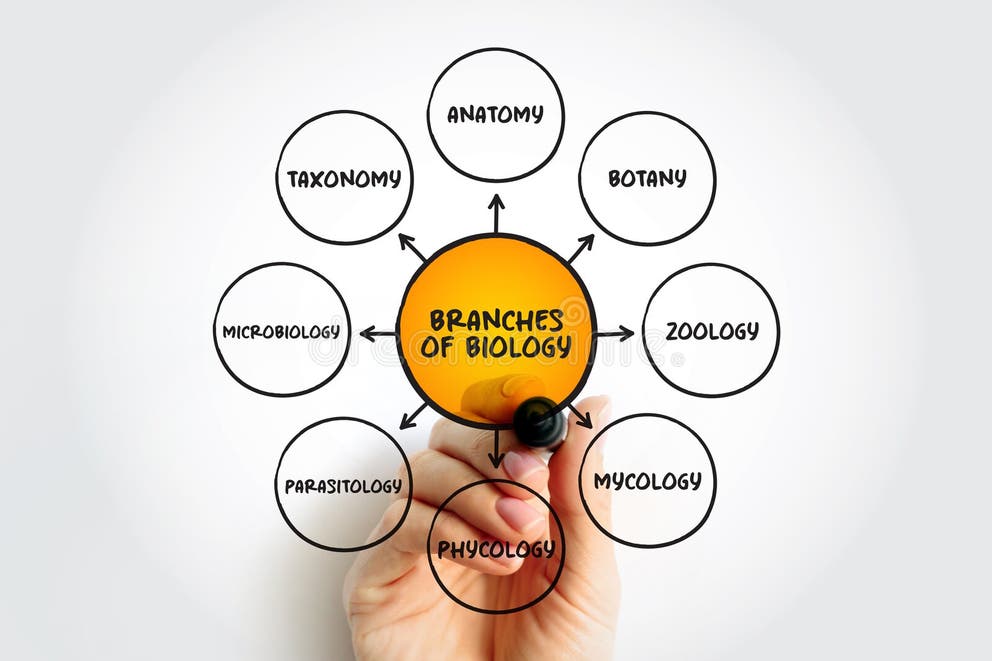 Branches of Biology Mind Map Text Concept for Presentations and Reports ...
