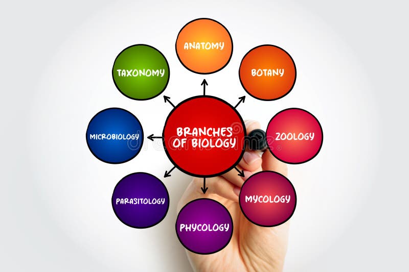 Branches of Biology Mind Map Text Concept for Presentations and Reports ...