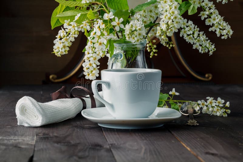 Branches of Blooming Bird Cherry Tree, Coffee Cup Stock Image - Image ...