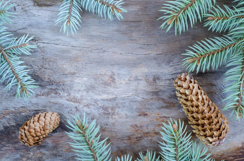 Branches of Blue Spruce on the Aged Wood. Top View. Stock Photo - Image ...