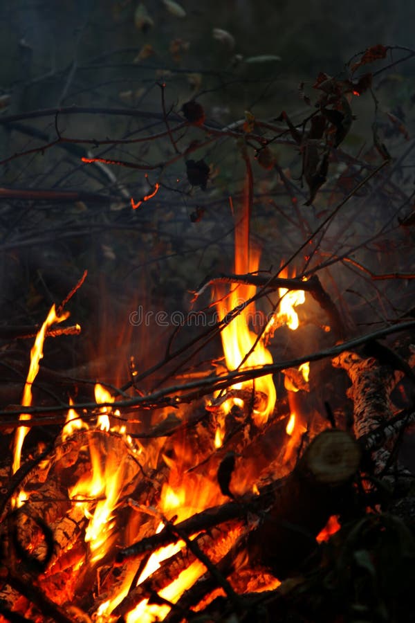 Branches Bright Burning in the Fire Stock Photo - Image of flammable ...