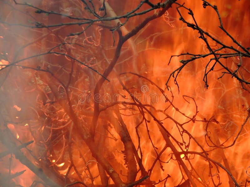The Branches in the Burning Pyre Stock Image - Image of flame, wood ...