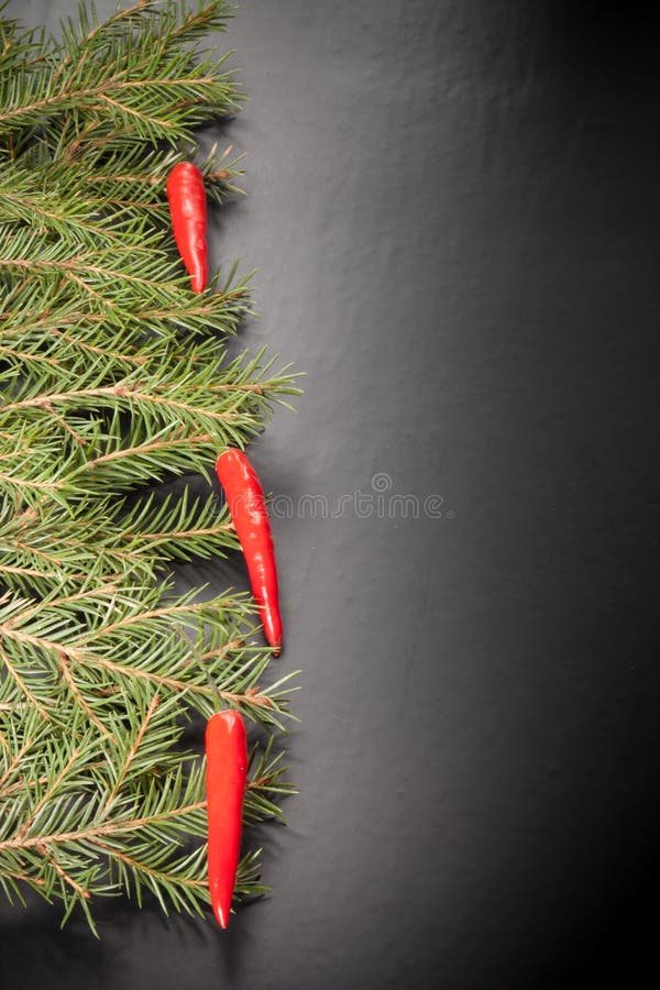Branches of a Christmas Tree Decorated with Chili Peppers on a D Stock ...