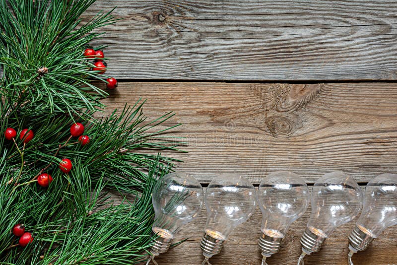 Branches of a Christmas Tree Pine with Rose Hips and Lights in the Form ...