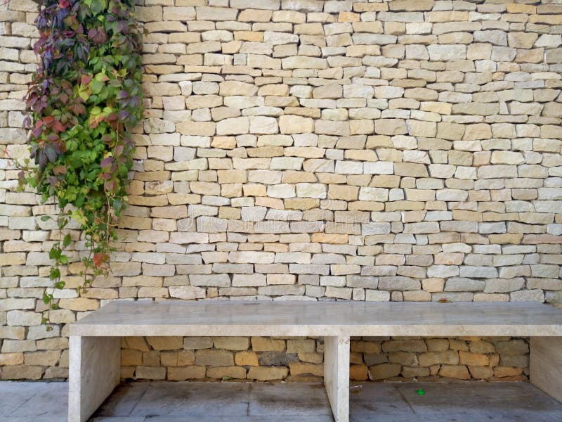 Branches Decorative Plant on Brick Wall. Green Branches on Stone Wall ...