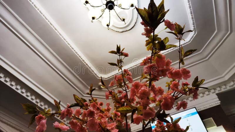 Stucco on the Ceiling in the Form of Strips Made of White Plaster ...