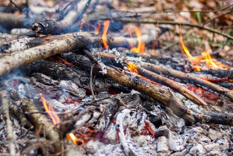 Branches on Fire in a Campfire Close Up Stock Image - Image of fire ...