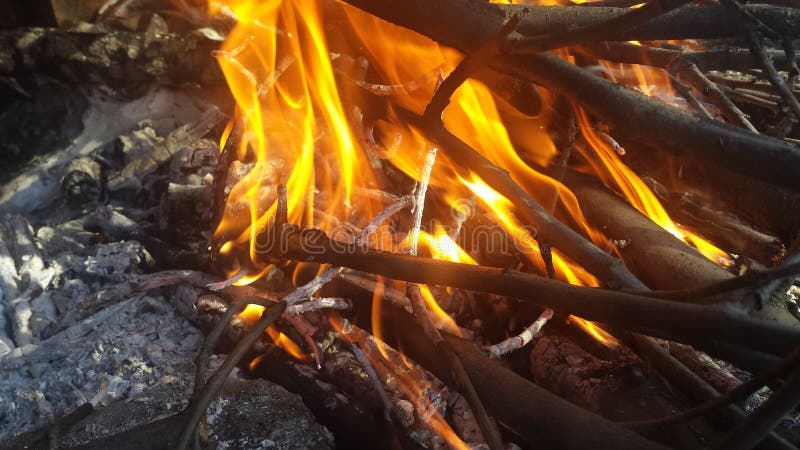 Branches in fire stock image. Image of yellow, flames - 65831377