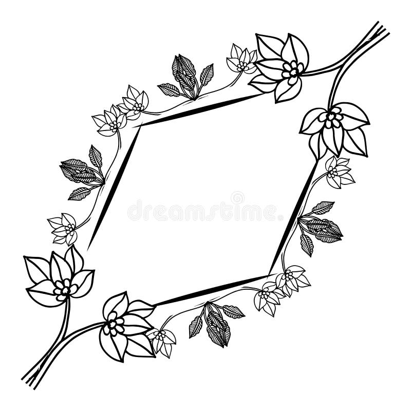 Branches Flower Isolated on White Background, Floral Frame Design ...