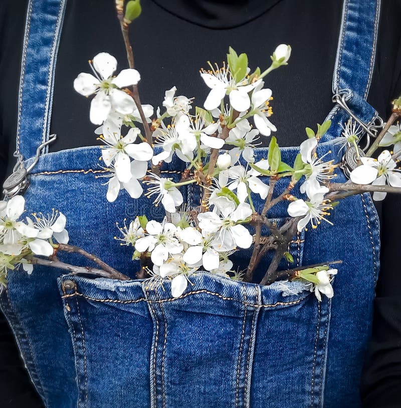 Branches of a Flowering Tree, Photographed in the Pocket of a Denim ...