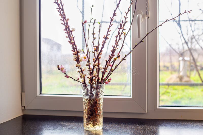 Branches with Flowers of Fruit Trees in a Vase on a Kitchen Countertop ...
