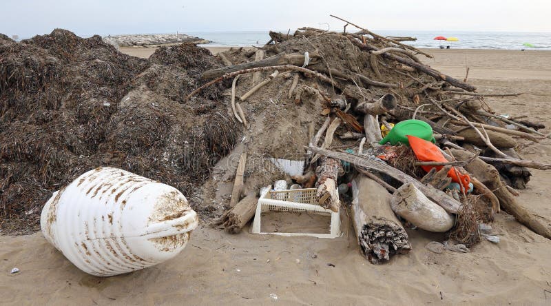 Branches with Garbage and Plastic Pieces Gathered on the Beach Stock ...