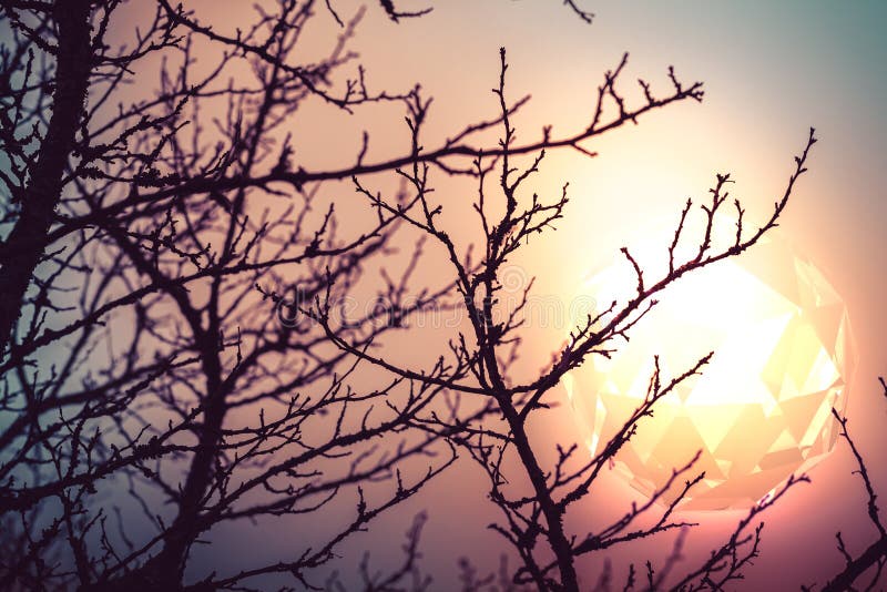 Branches and Glowing Triangular Sphere Stock Photo - Image of beautiful ...